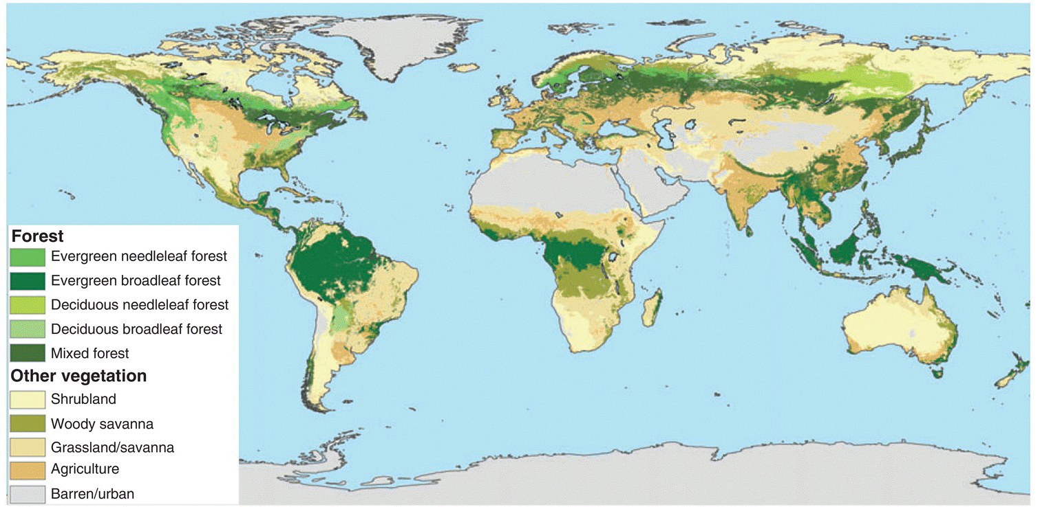 Sustainable Forest Environment (SFE)