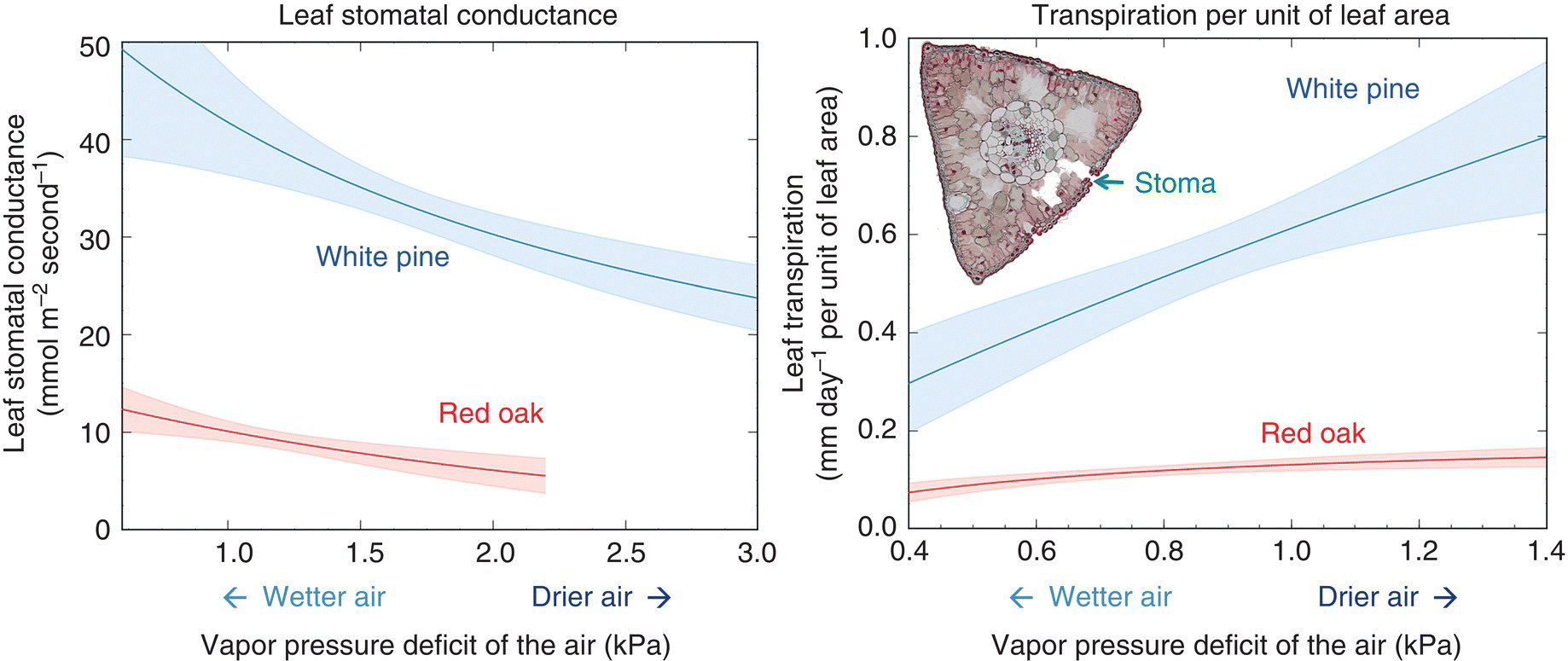 Sustainable Forest Environment (SFE)
