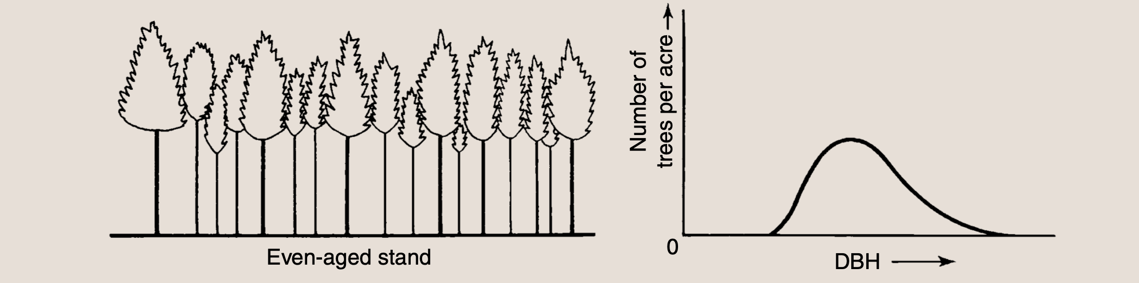 Sustainable Forest Environment (SFE)
