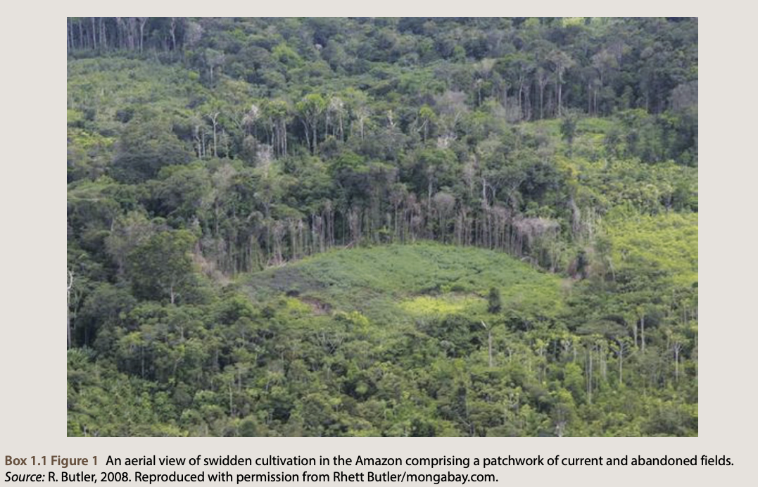 Sustainable Forest Environment (SFE)