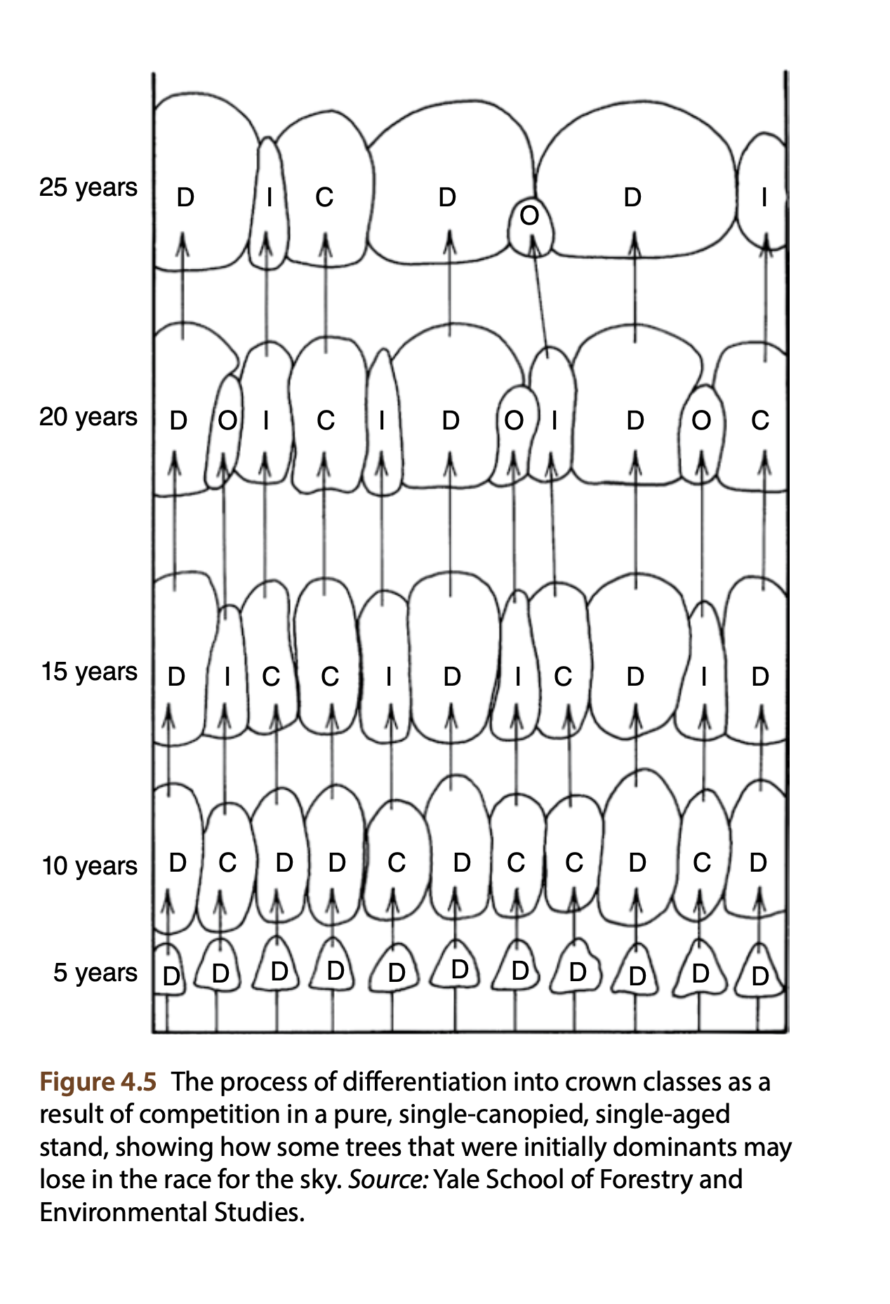 Sustainable Forest Environment (SFE)